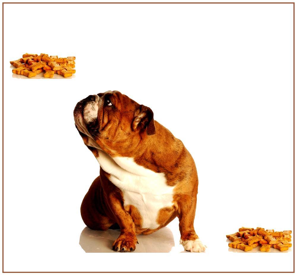 The Psychology of Pickiness and Desperation: a Manual for Job, Talent ...